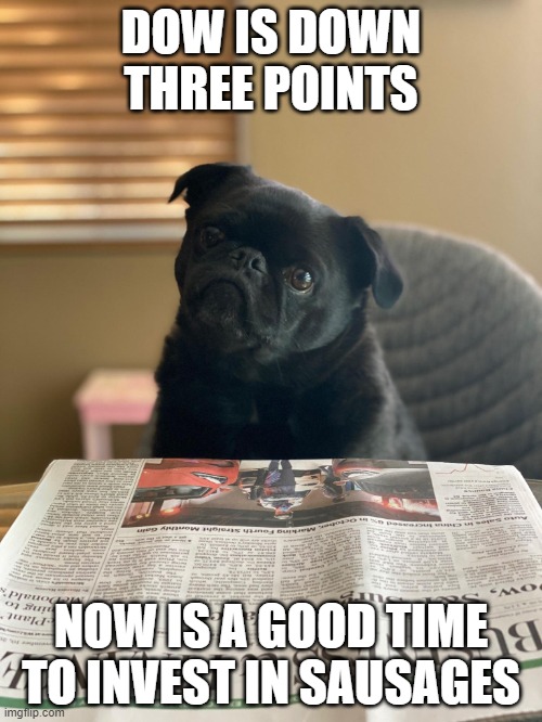 Business Pug - Imgflip