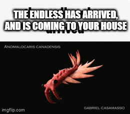 beware the endless - Imgflip