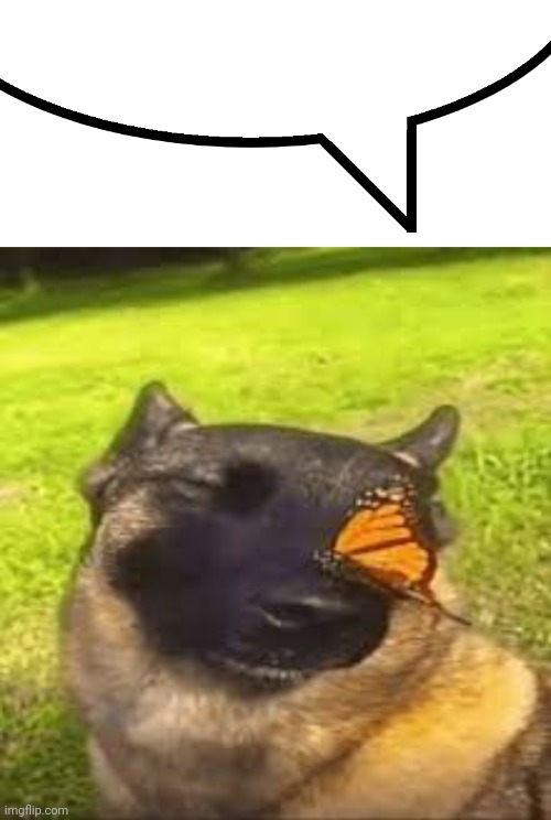 Image tagged in speech bubble - Imgflip