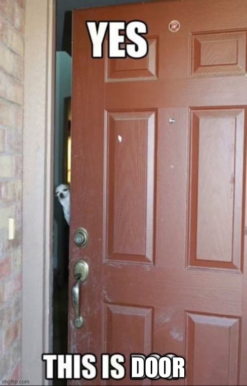 We didn’t talk about doors enough yesterday - Imgflip