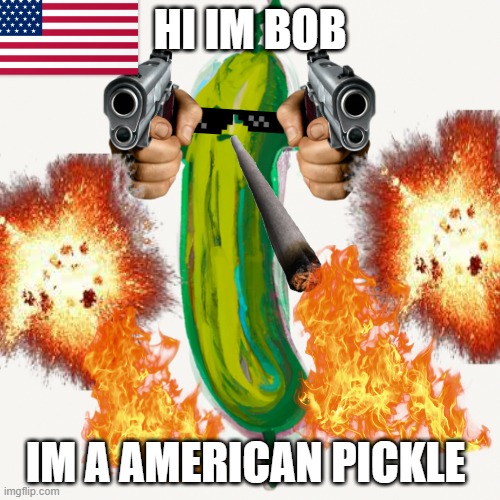 AMERICAN PICKLES BE LIKE - Imgflip