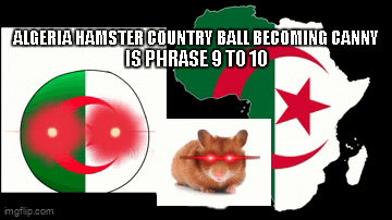 algeria hamster country ball becoming canny but is phrase 9 to 10 - Imgflip