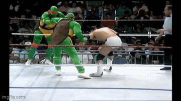 Ninja Turtle Wrestling - Imgflip