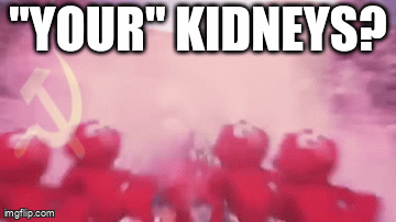Our kidneys - Imgflip