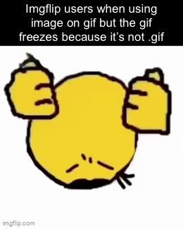 I just realized - Imgflip