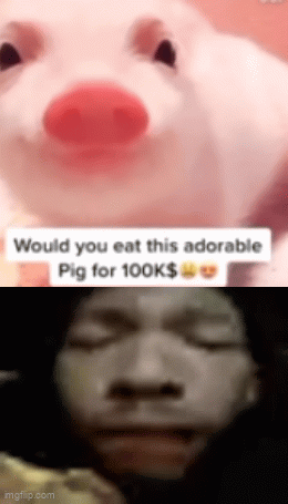 Bussin.mp4 - Imgflip