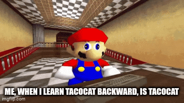 me when I learn taco cat backwards is tacocat - Imgflip