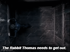 The Rabbit Thomas must get out - Imgflip