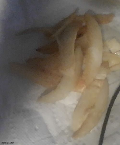 homemade french fries :D - Imgflip
