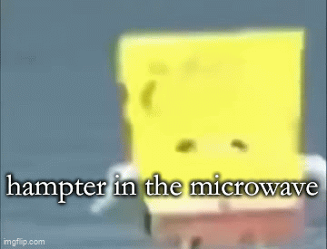 hampter in macrowave - Imgflip