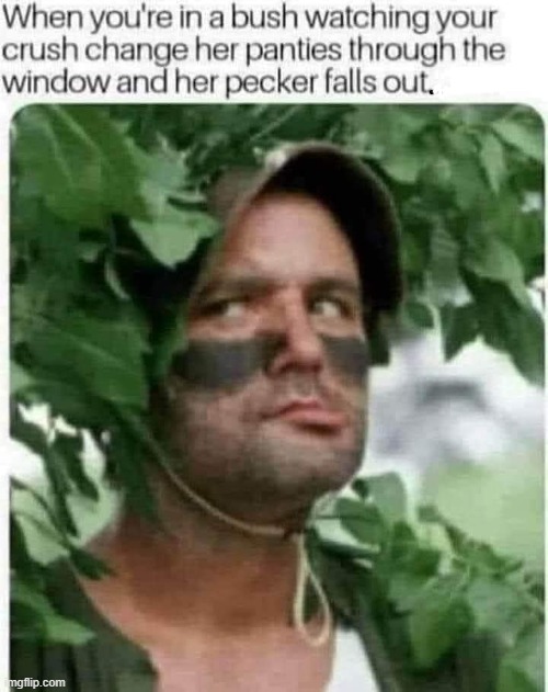 Wood Pecker ! - Imgflip