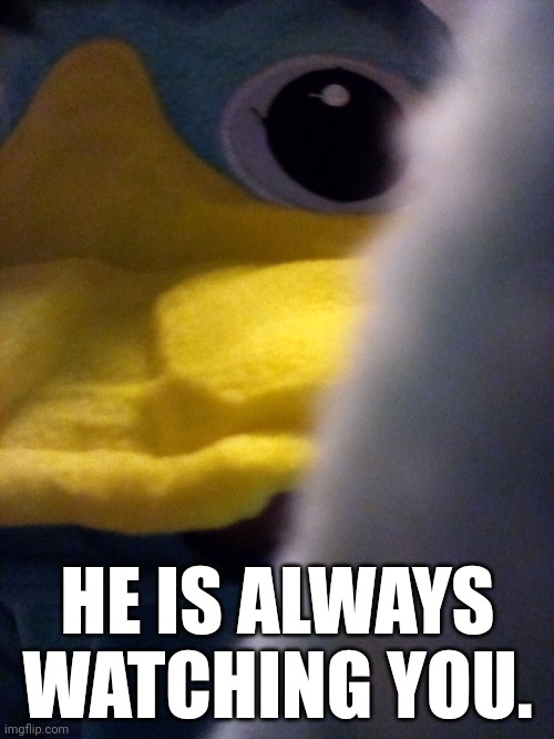 Perry is watching - Imgflip