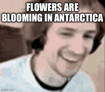 We are gonna destroy everything - Imgflip