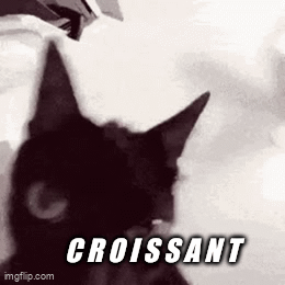 CROISSANT - Imgflip