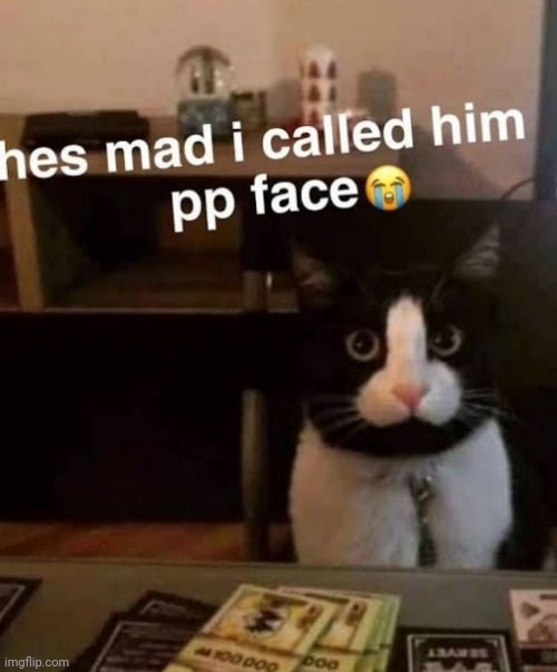 PP face Blank Template - Imgflip