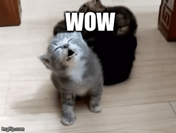 Animated GIF - Imgflip