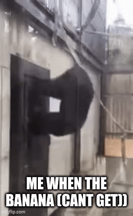 Monkey door meme - Imgflip
