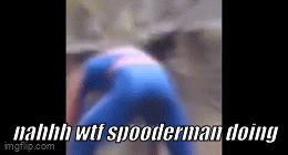 Can Spiderman twerk? - Imgflip