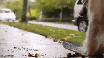 Skateboard take - Imgflip