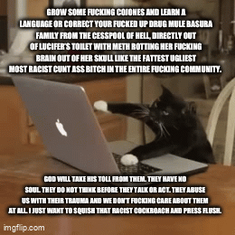 Typing kitty - Imgflip