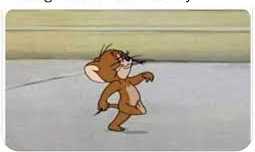 Me in a Nutshell Blank Template - Imgflip