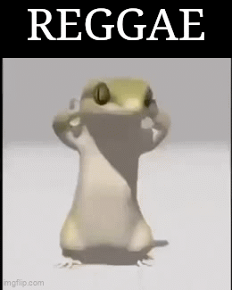 REGGAE - Imgflip