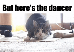 Aka TikTok girl - Imgflip