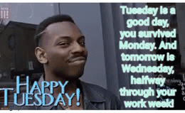 Happy Tuesday - Imgflip