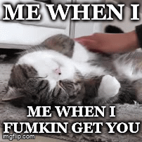mewhenIfumkingetyoucatpet.gif - Imgflip