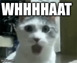 Animated GIF - Imgflip