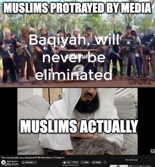 you guys don't know actual muslims - Imgflip