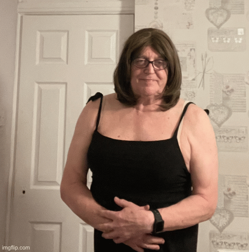 Transvestite Imgflip