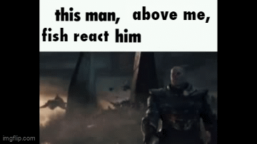 This man him (GIF) - Imgflip