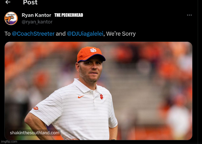 Ouch! - Tiger Boards Archive Forum - TigerNet