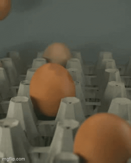 egg - Imgflip