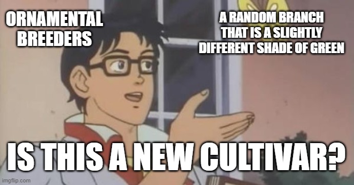 Breeding Ground Memes Bulk Pricing For 100% Grass Fed Ground Beef