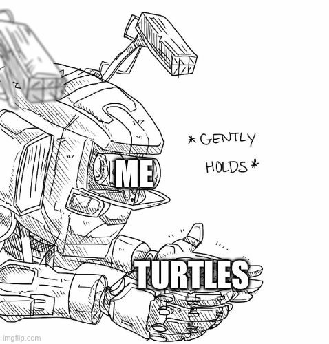 How i react to turtles - Imgflip