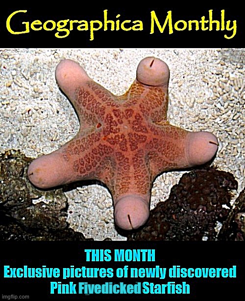 Exclusive Pics ! - Imgflip