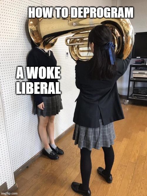 Girl Putting Tuba on Girl's Head - Imgflip