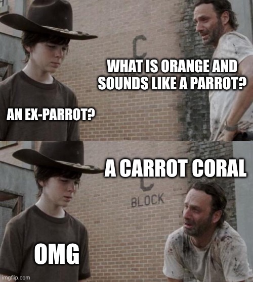 Rick and Carl Meme - Imgflip