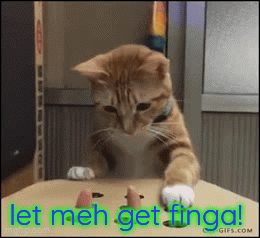 playing with a finga - Imgflip