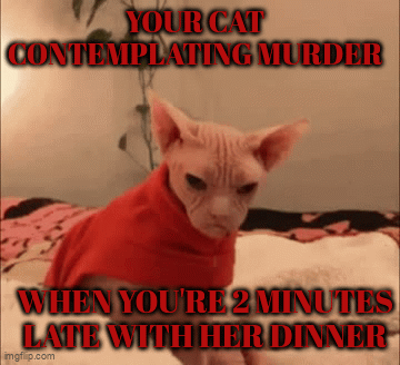 You're in big trouble now, mister - Imgflip