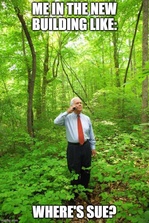 Lost in the Woods - Imgflip