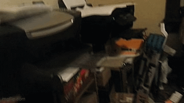 Printer (reversed gif) - Imgflip
