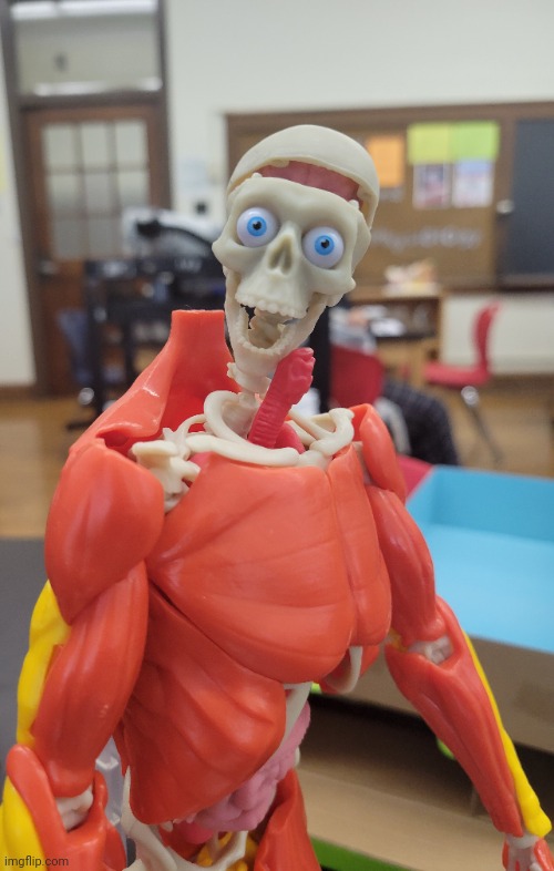 Mind Blown Skeleton Action Figure - Imgflip