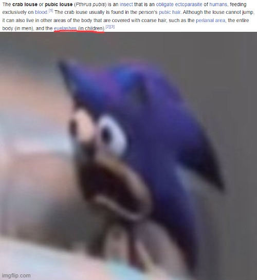 Image tagged in traumatised sonic,memes,dark humor - Imgflip