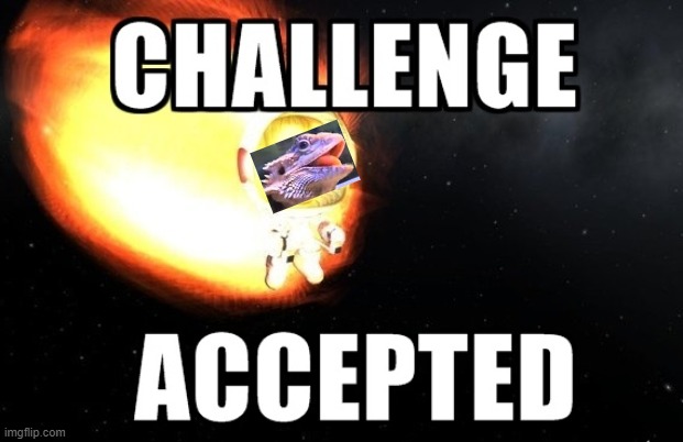 Kerbal space program challenge accepted - Imgflip