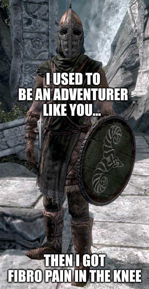 Skyrim Guard - Imgflip