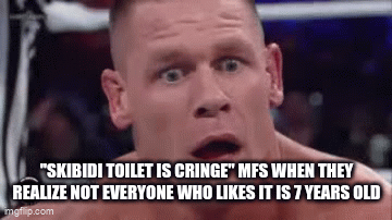 "sKiBiDi tOiLeT iS cRiNgE" like bro let ppl enjoy stuff - Imgflip