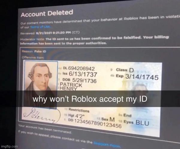 Behapps Steve Raglan Temp - Imgflip